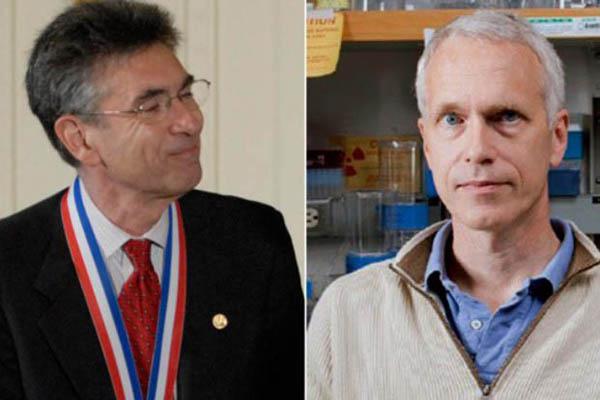 El Nobel de Química para dos científicos estadounidenses - ESTOCOLMO. Los médicos ...