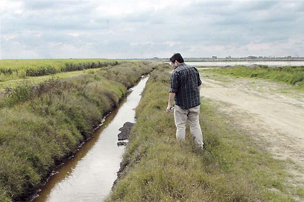 Ingenios arrojan vinaza en piletones a punto de rebalsar hacia la ...