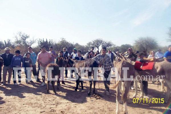 Singular Rally Maratón de Burros vivió la comunidad de Vaca Human ...