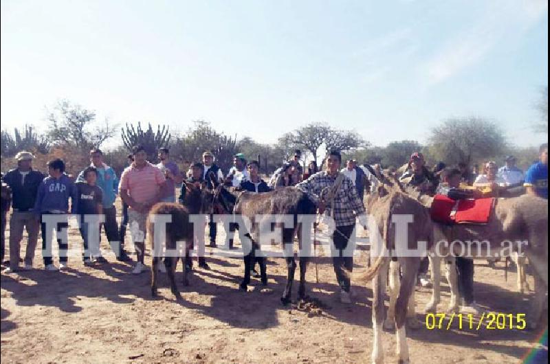 Singular Rally Maratón de Burros vivió la comunidad de Vaca Human ...