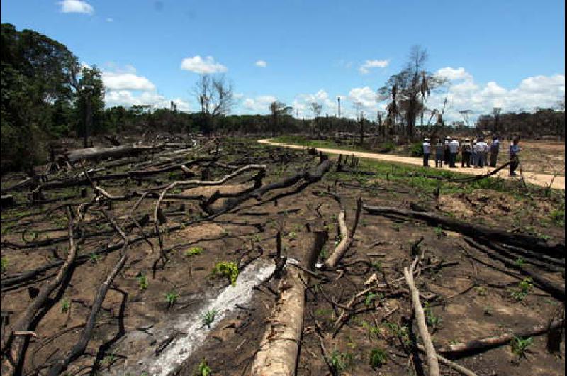 Una ONG santiagueña fue premiada por su trabajo sobre cambio climático ...