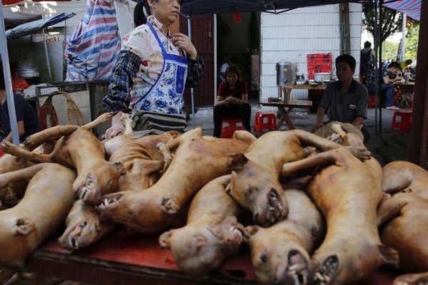 Con polémica, China celebra su festival de carne de perro - PEKíN ...