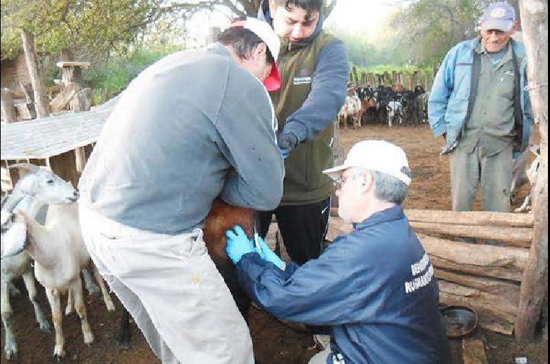 Campaña sanitaria para control de brucelosis en cuenca lechera caprina - Personal técnico del ...