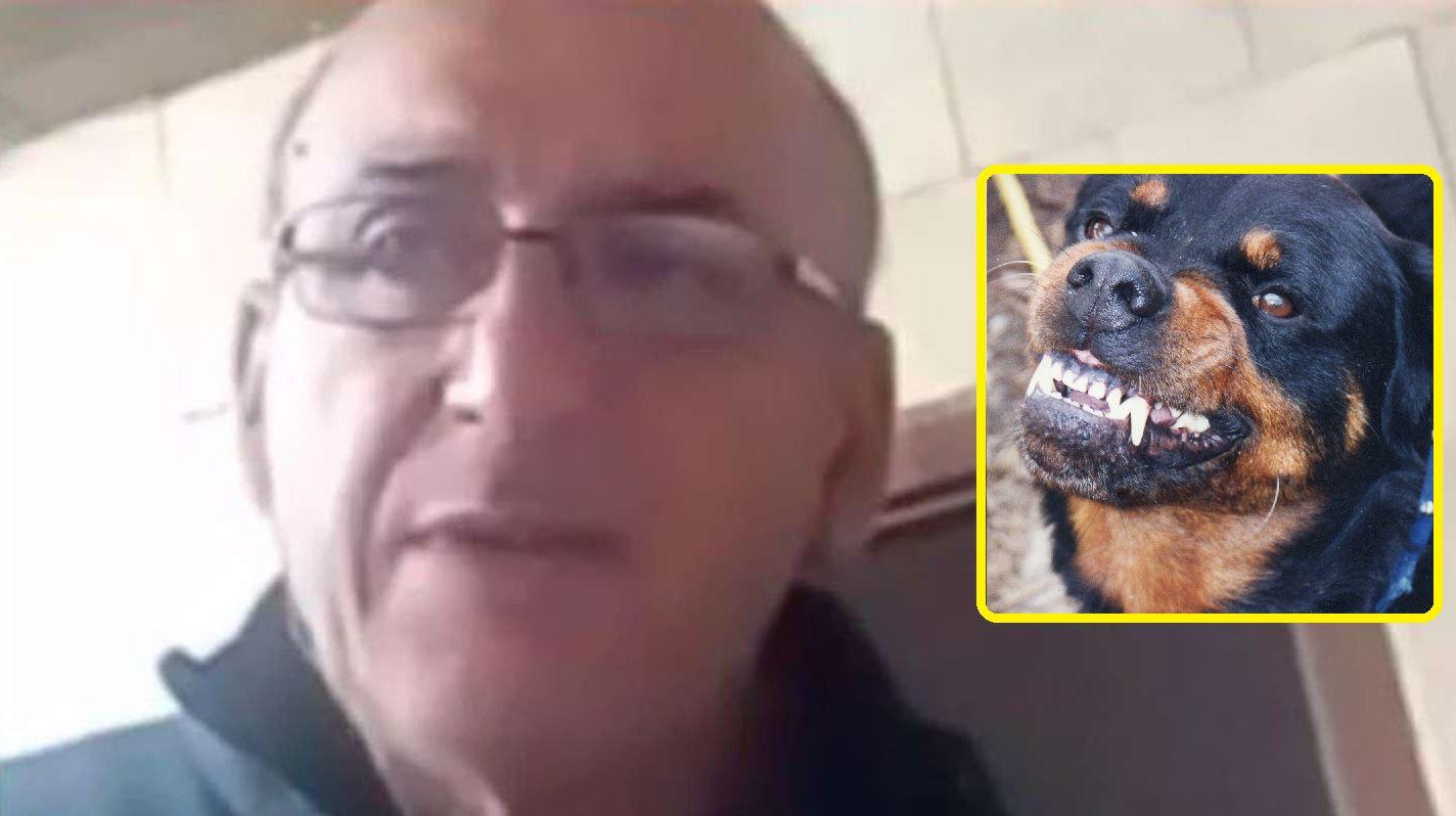 Fue procesado por la muerte de cuatro jóvenes: ahora murió atacado por un perro rottweiler ...