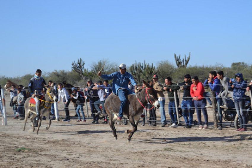 Conocé la variada agenda de actividades que tiene Vaca Human para el ...