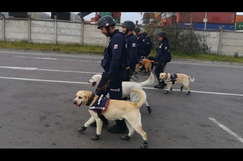 En el Día del Animal, jubilaron a 14 perros que participaban en ...