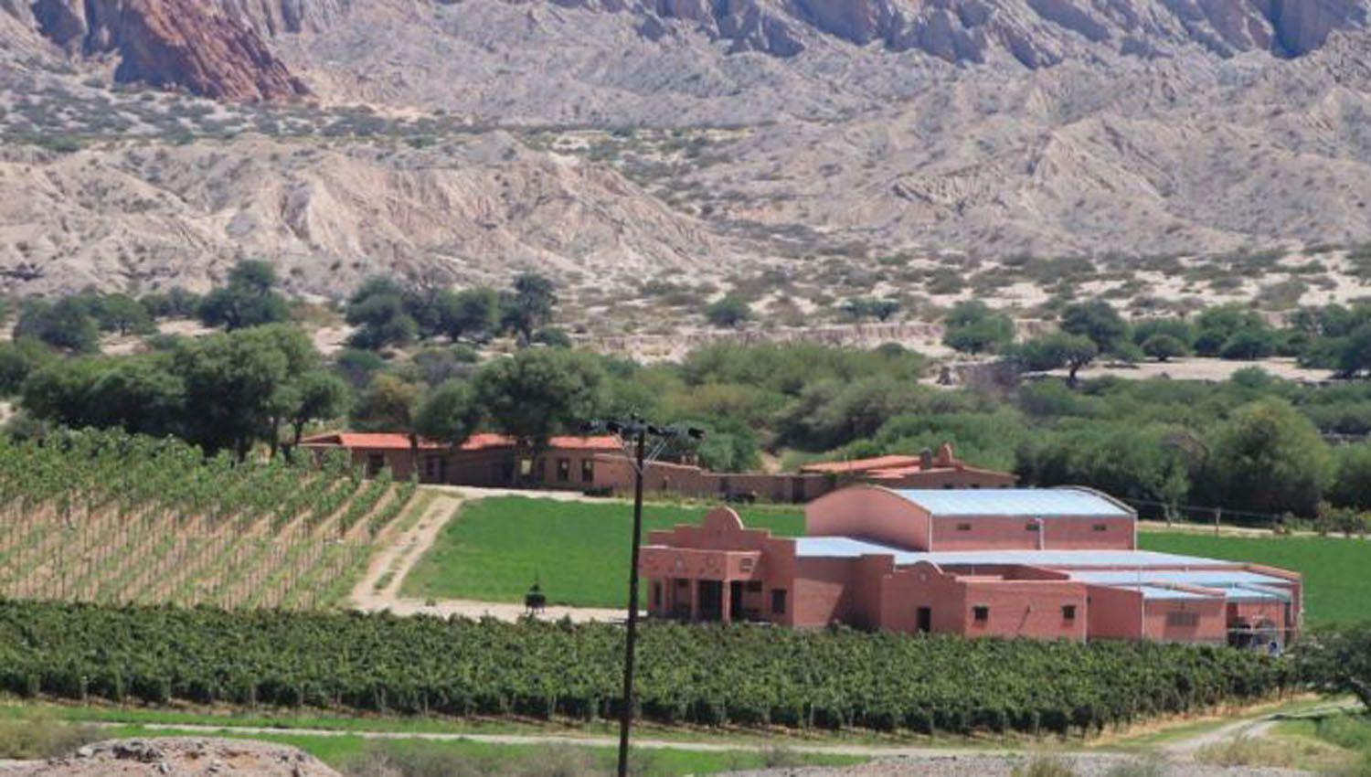 Cafayate desconocido: las bodegas escondidas de uno de los destinos ...