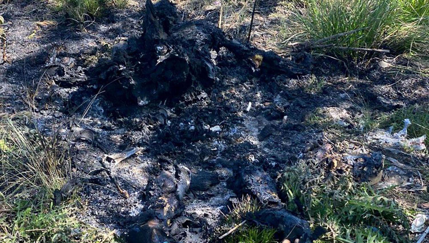 Hallan un cuerpo calcinado en un descampado - El cuerpo calcinado de ...
