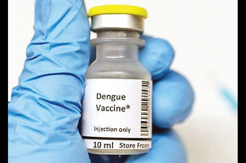 Científicos expresan su esperanza en la vacuna contra el dengue ...