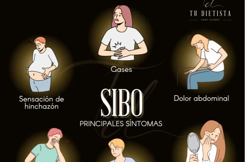 Crecen las consultas por Sibo: de qué se trata y cómo lograr una alimentación adecuada - Los ...