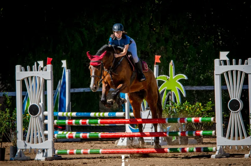 Jornada inaugural del Torneo Regional de saltos hípicos - Hoy, desde ...