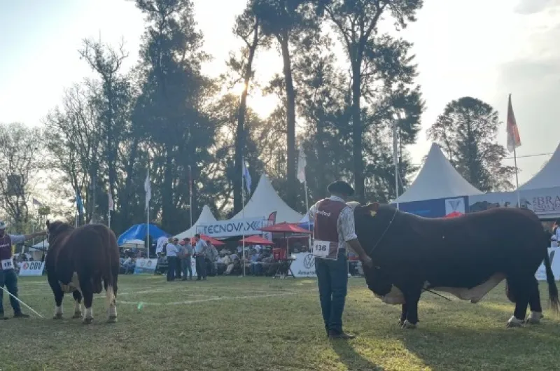 Eligieron los toros campeones y hoy sehará la apertura oficial - EXPO ...