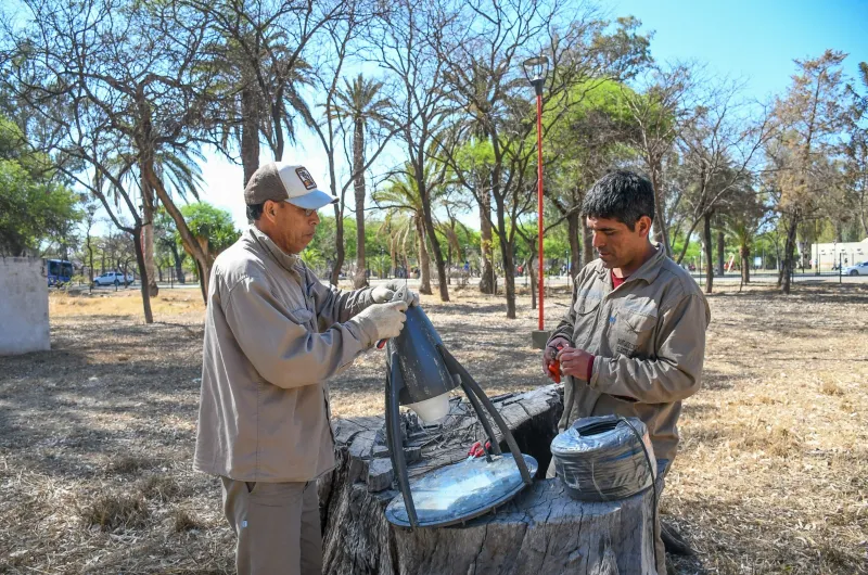 Trabajan para restablecer el servicio de alumbrado en El Rosedal dañado por robos y vandalismo ...