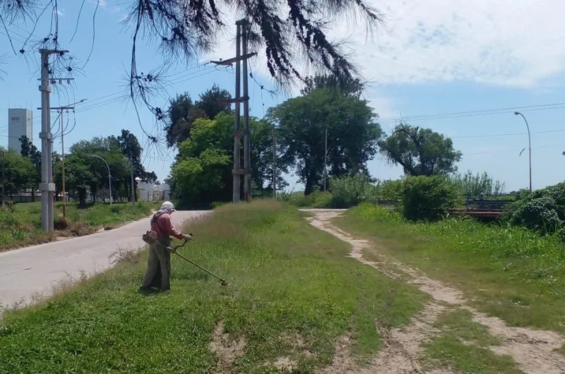 Se intensifican los operativos de la lucha contra el dengue - Además de la limpieza y ...