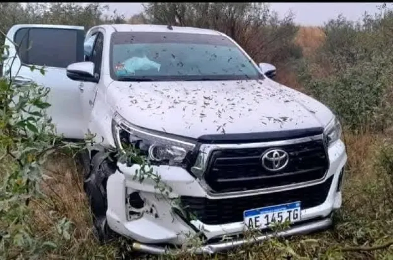 Conductor terminó con su 4x4 en la banquina tras embestir un equino ...