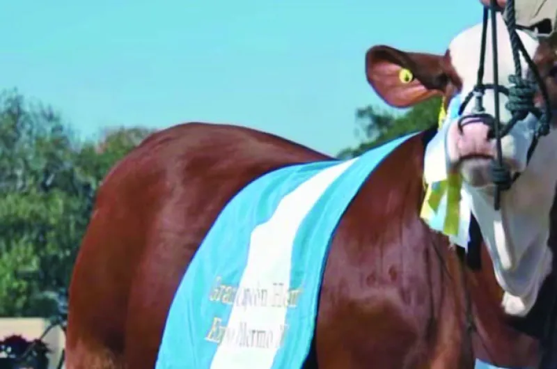 Los Braford criados en Santiago, hicieron podio en Palermo - La gran ...