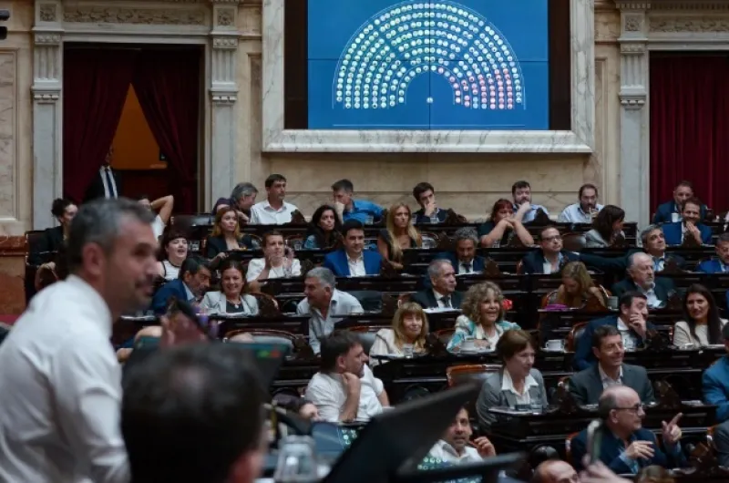 El oficialismo y la oposición en una semana clave en Diputado - La oposición busca redoblar la ...