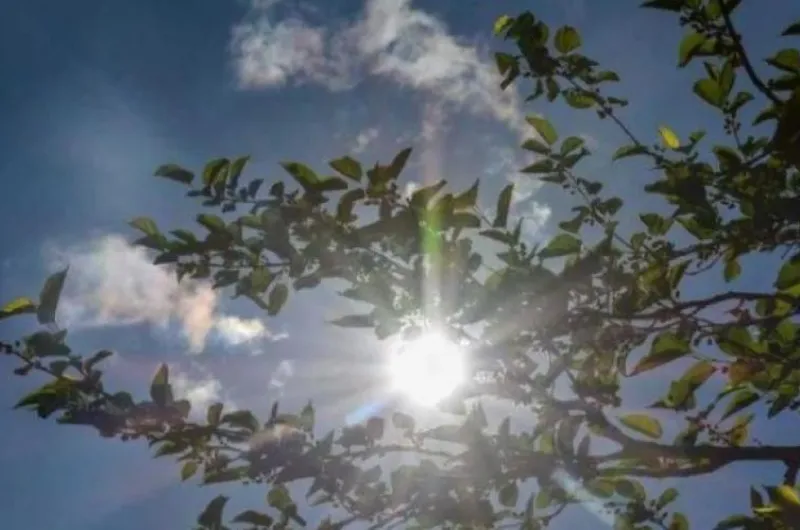 Santiago del Estero amaneció con ST -1.9°C y se espera un día agradable con 25°C de máxima - Las ...