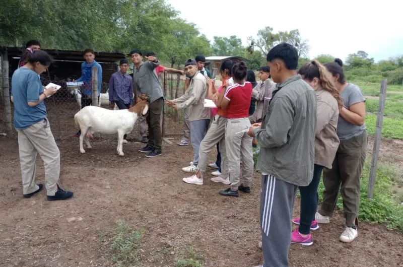 Se viene otra edición de la Exposición de la Cabra Criolla - El ...